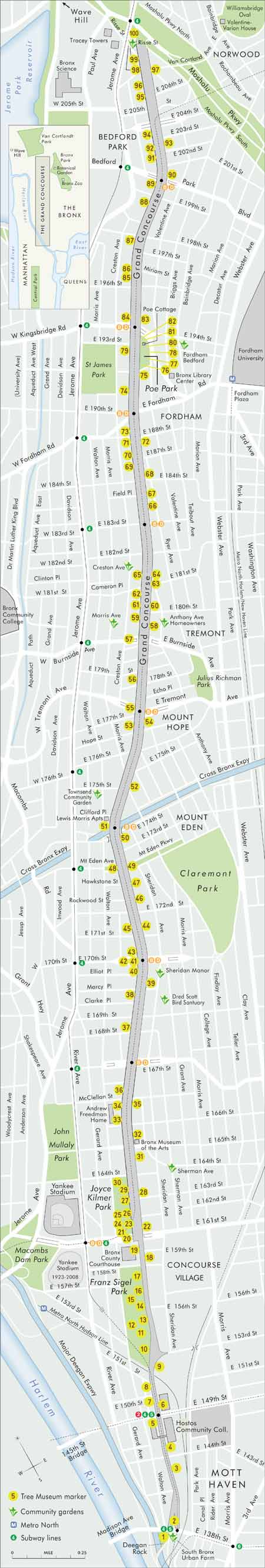 Tree Museum: MAP